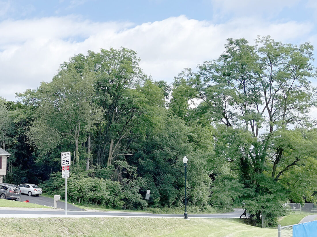 Altoona Redevelopment Authority buys land in Cricket Knoll neighborhood ...